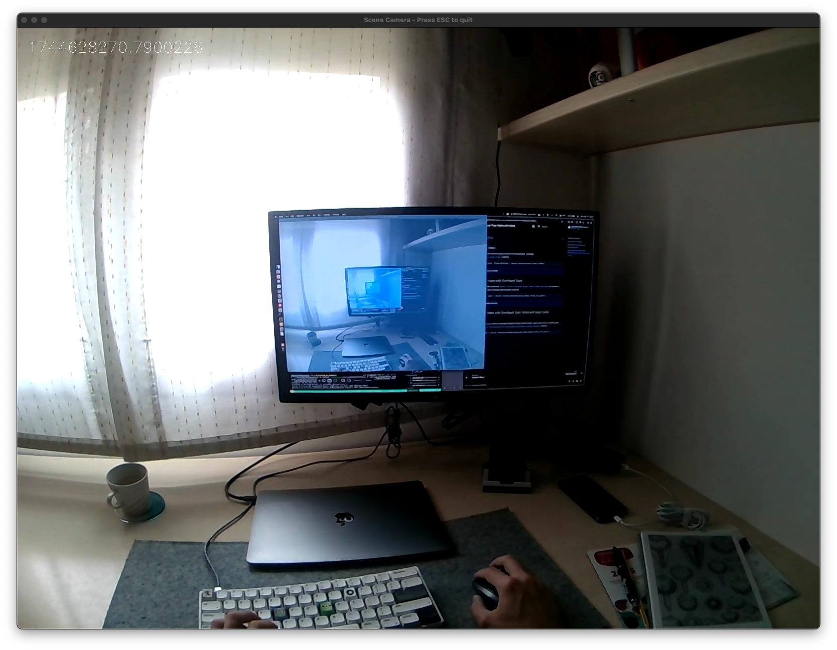 Scene Camera - Pupil Labs Real-Time Python API Client